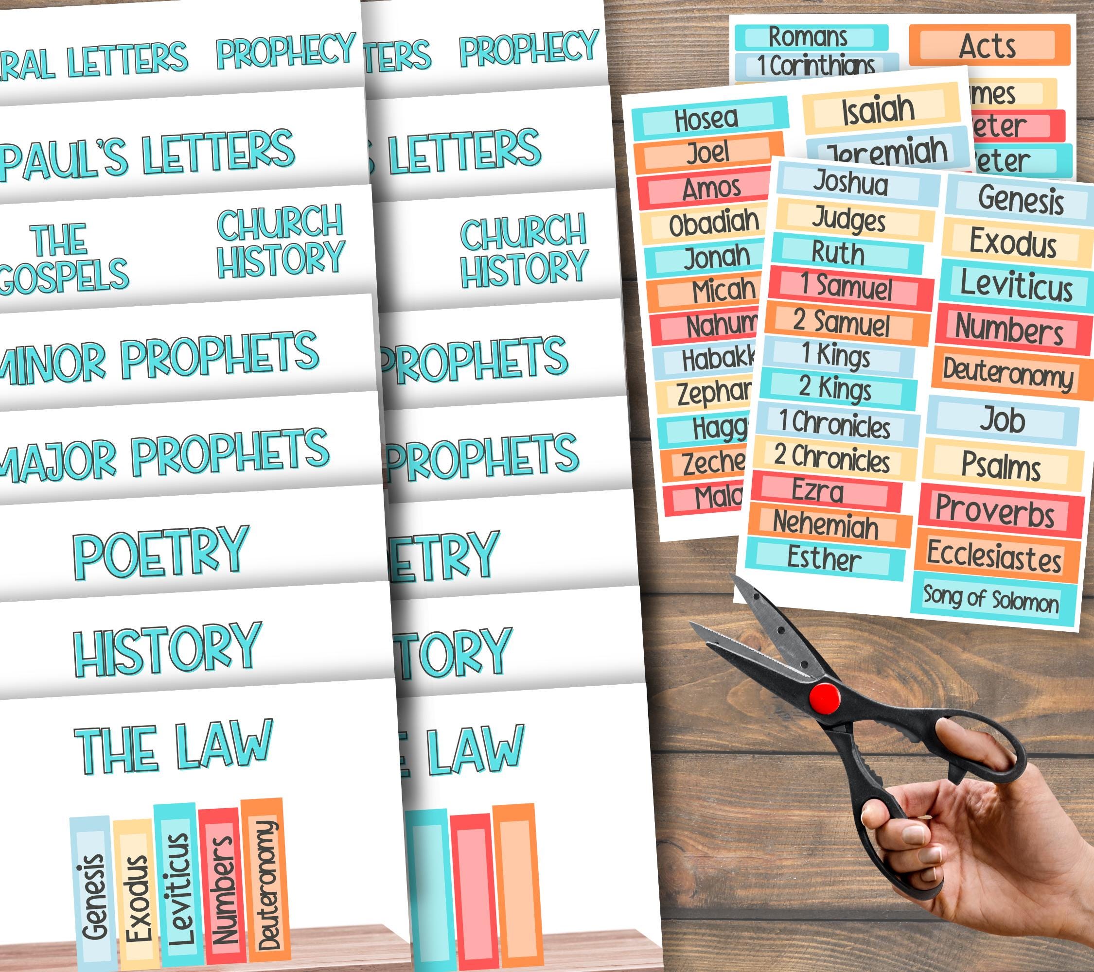 Books of the Bible Game Kids Memory Sorting Activity | Printable Church ...