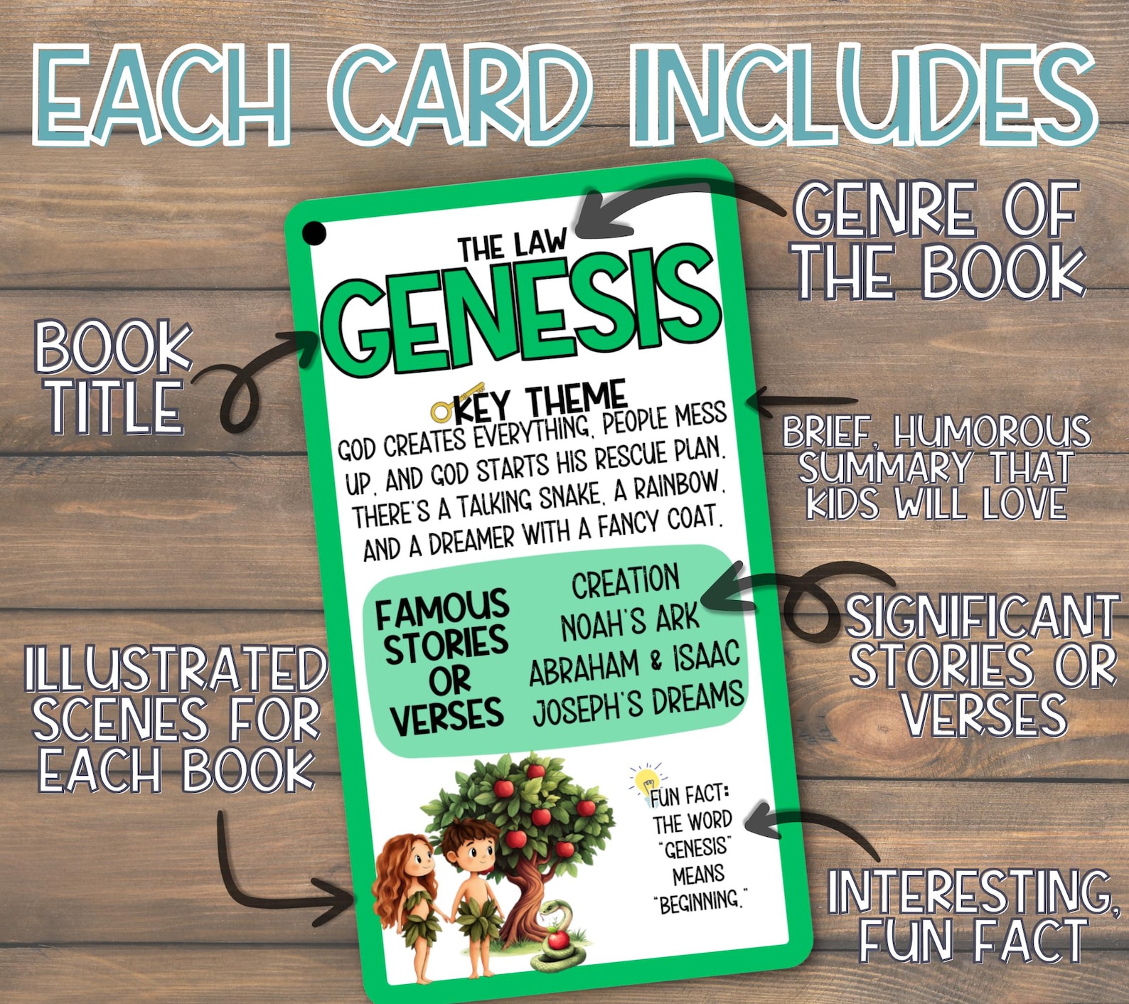 Books of the Bible Flash Cards | Interactive Learning for Kids ...