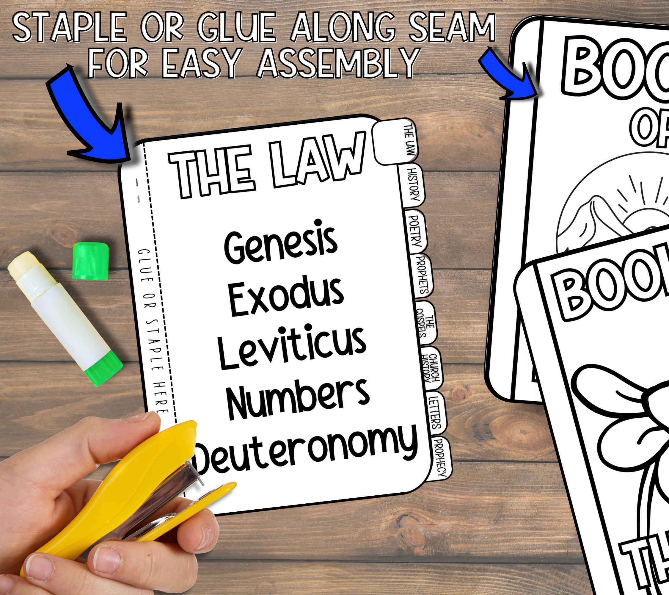 Books of the Bible Printable Coloring Memory Flipbook | Sunday School ...