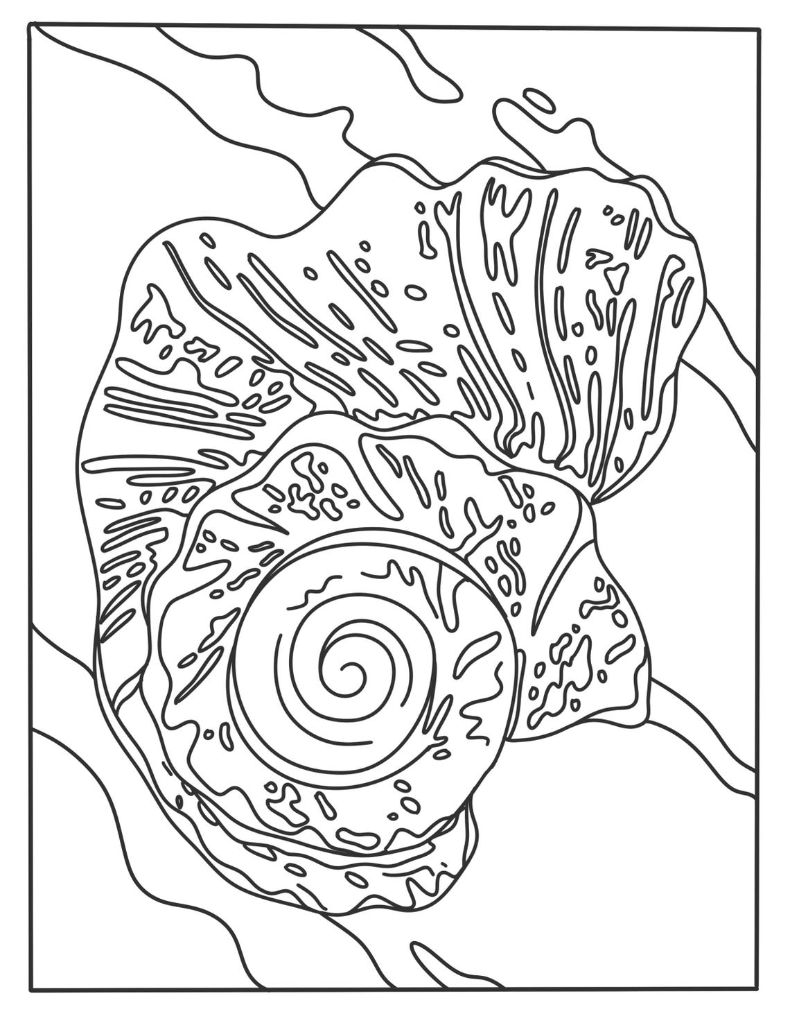 Outer Banks Nature Coloring Book – OBX Souvenir Gift | Coastal Art ...