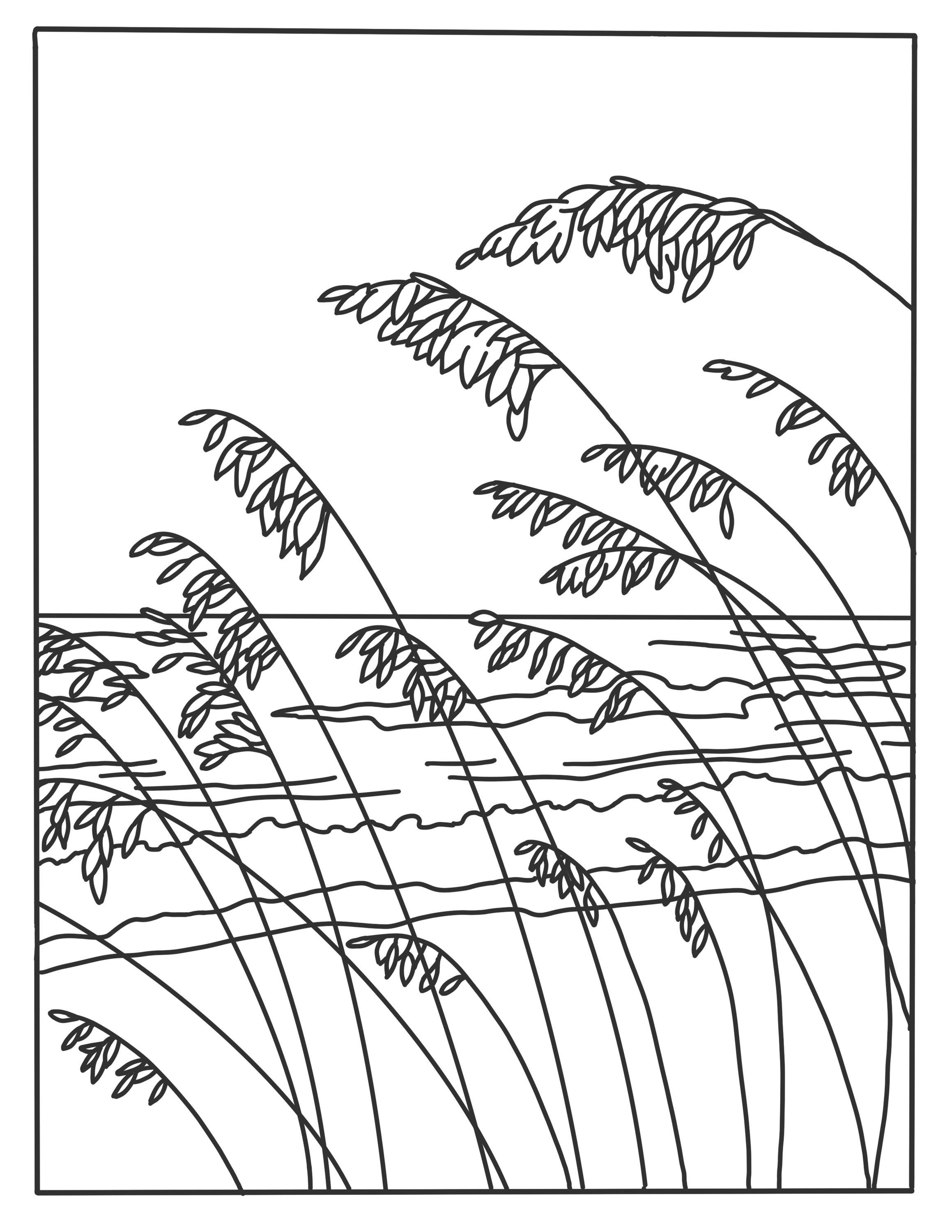 Outer Banks Nature Coloring Book – OBX Souvenir Gift | Coastal Art ...