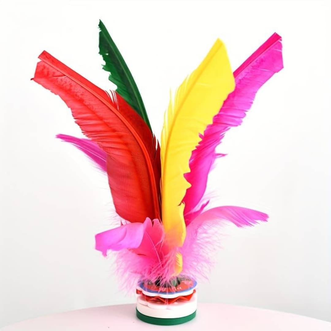 Colorful Feather Shuttlecock jianzi 毽子 Creative Family Interactive ...