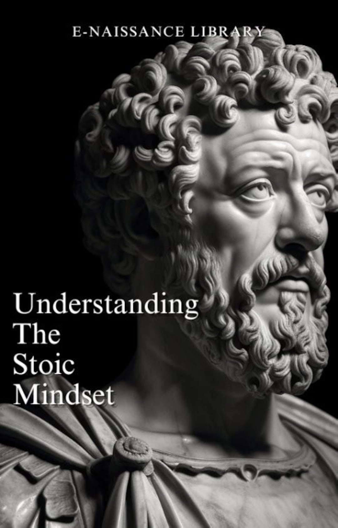 Ebook Understanding the Stoic Mindset - Etsy