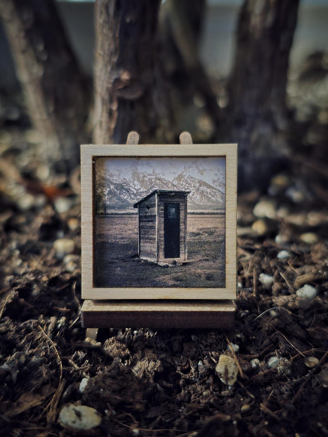 Tiny Outhouse – 1x1" Haunted Outhouse in Mini Frame | Dark Cottagecore ...