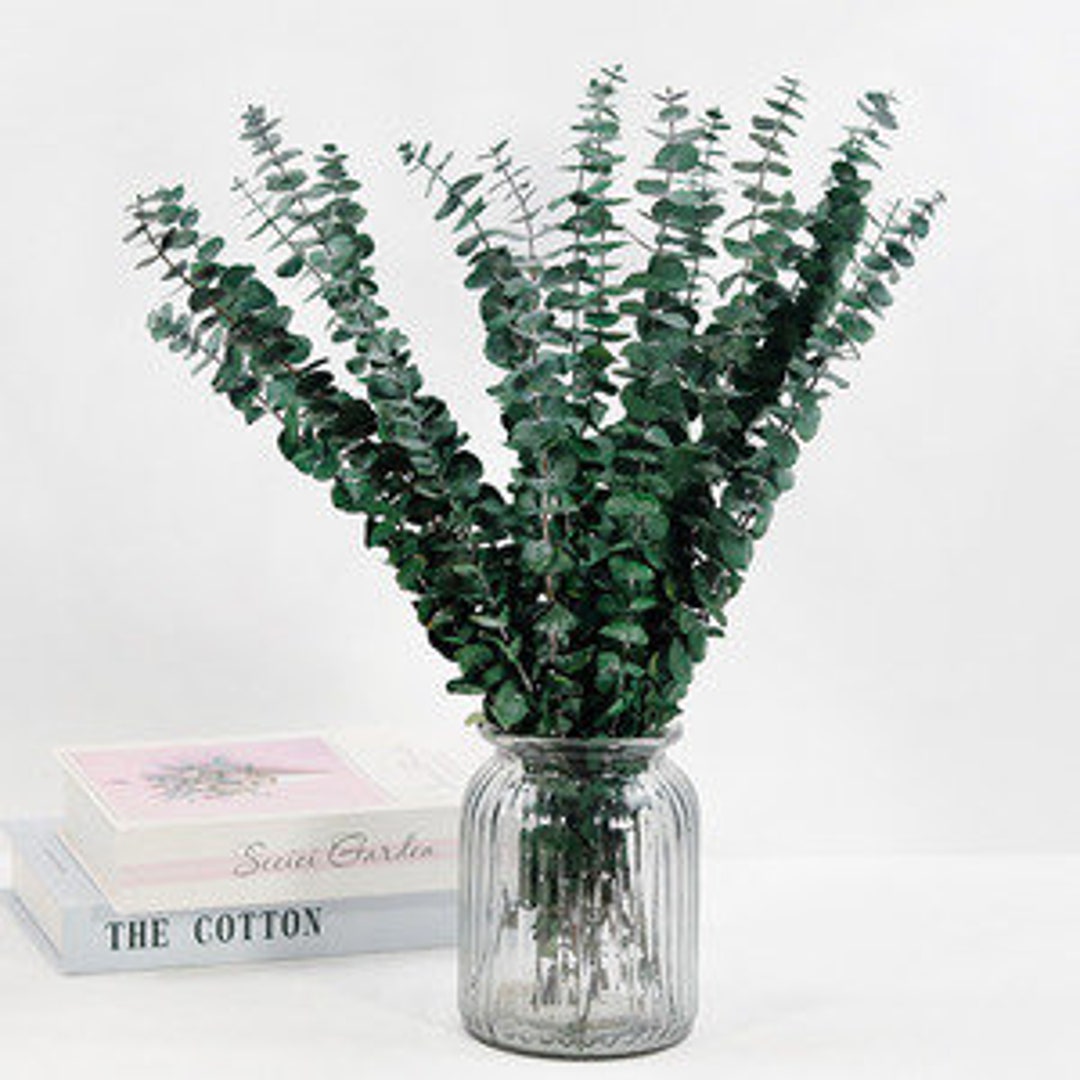 20pcs Fresh Eucalyptus Shower Bundle, Eucalyptus Plant, Preserved ...