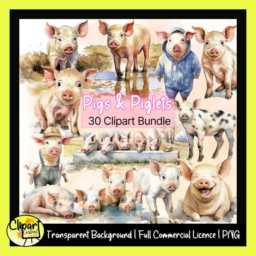 Pigs & Piglets Clipart Bundle Commercial License 400 DPI Transparent ...