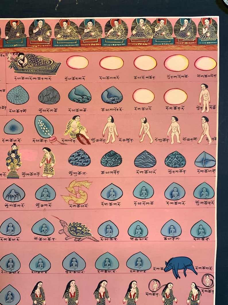Tibetan Treatment Thangka. Hand Painted Development of Embryo Inside ...