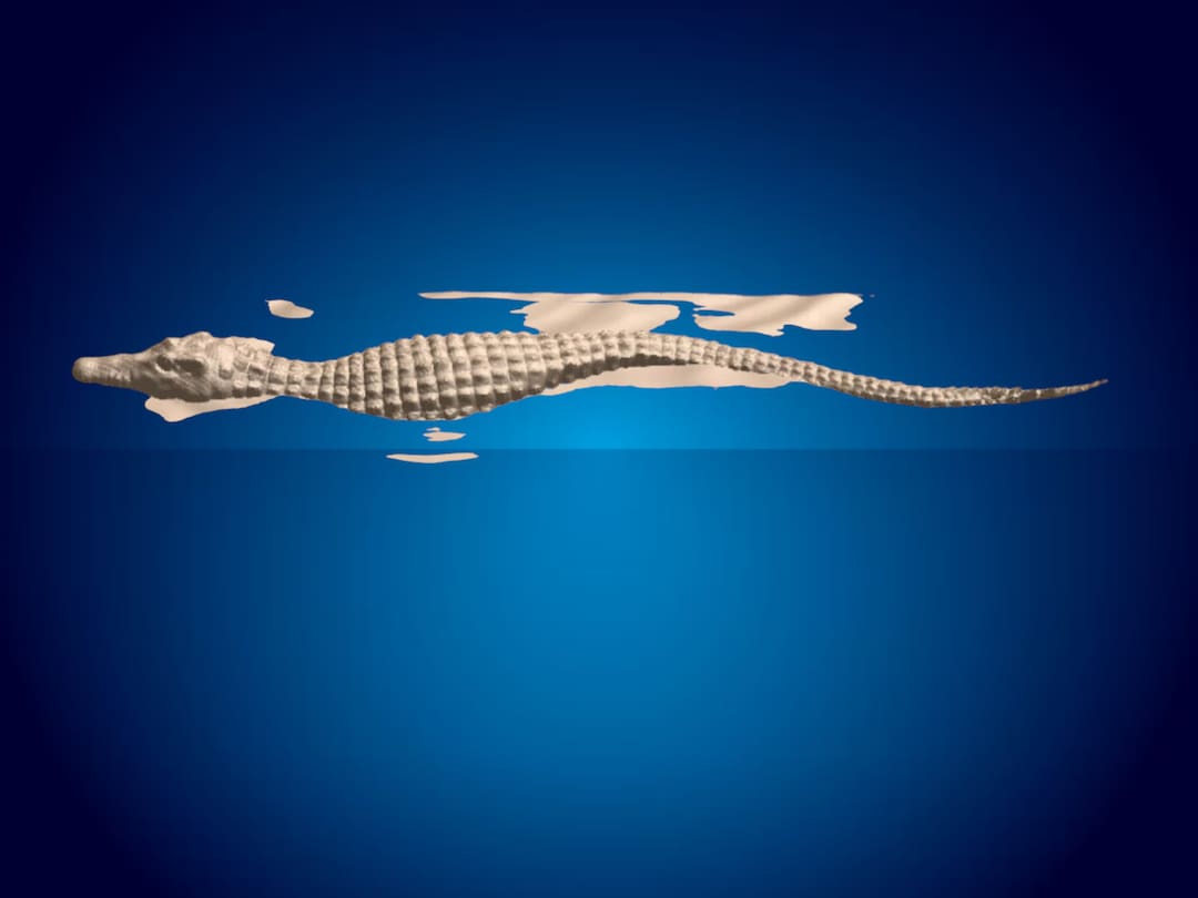 Swimming Crocodile 3D STL File: CNC Router Cut (digital Download) - Etsy