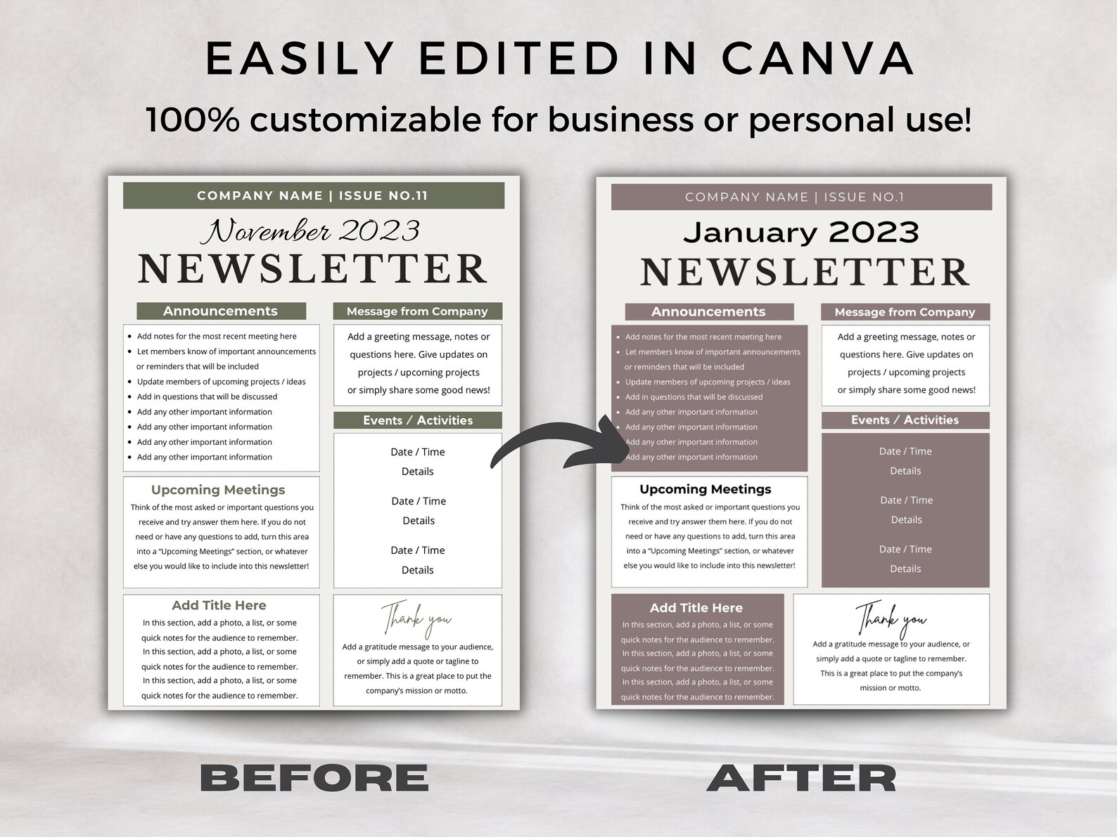 Editable Business Newsletter Template, Canva Layout (digital Download ...