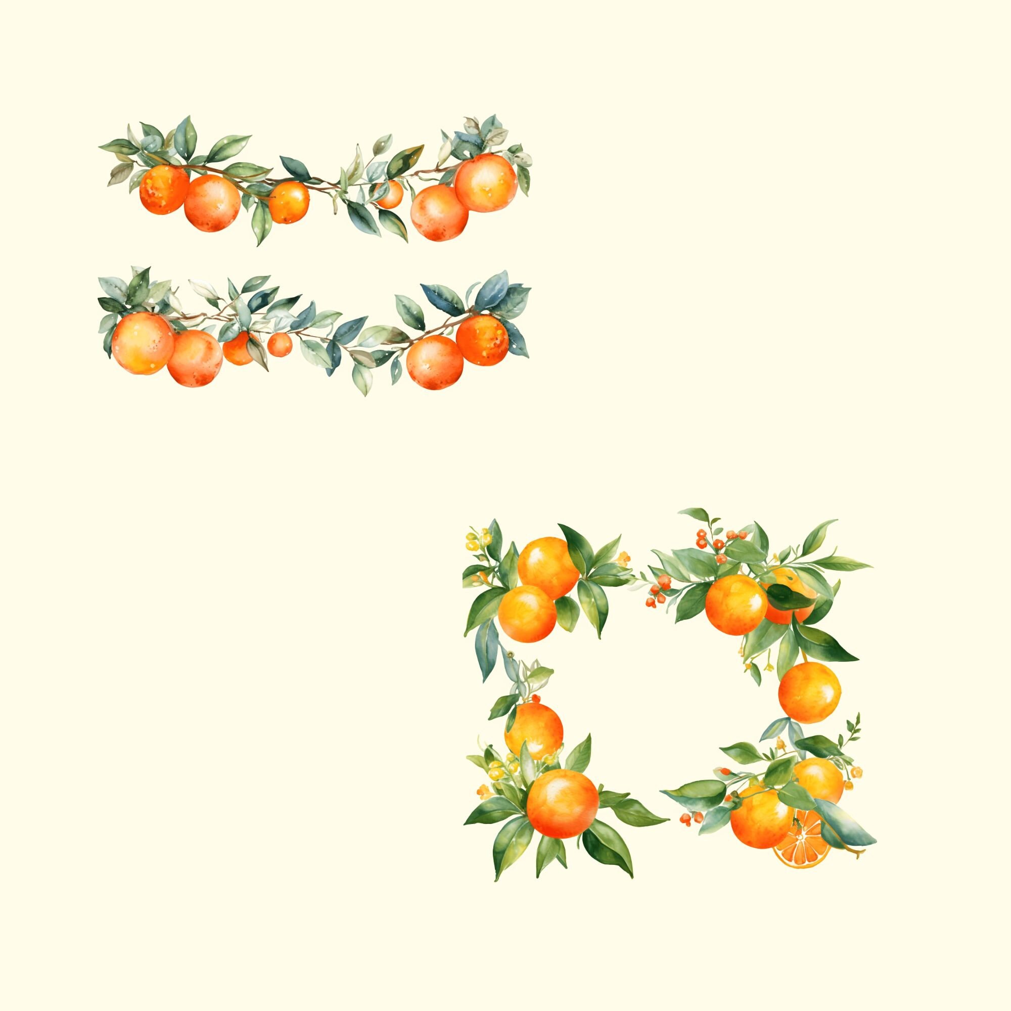 Oranges Watercolor Clipart Bundle 5 PNG Images Transparent - Etsy