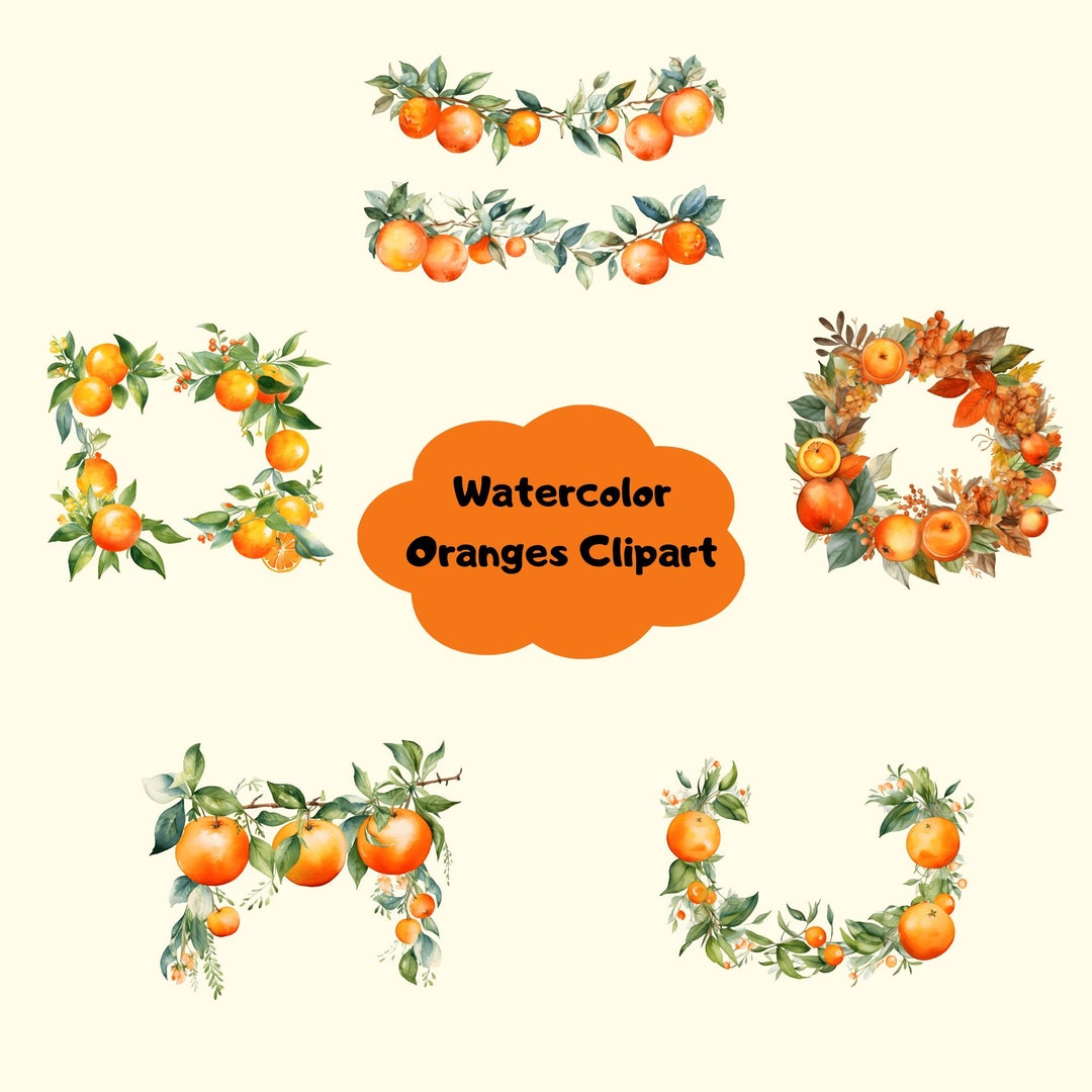 Oranges Watercolor Clipart Bundle 5 PNG Images Transparent - Etsy
