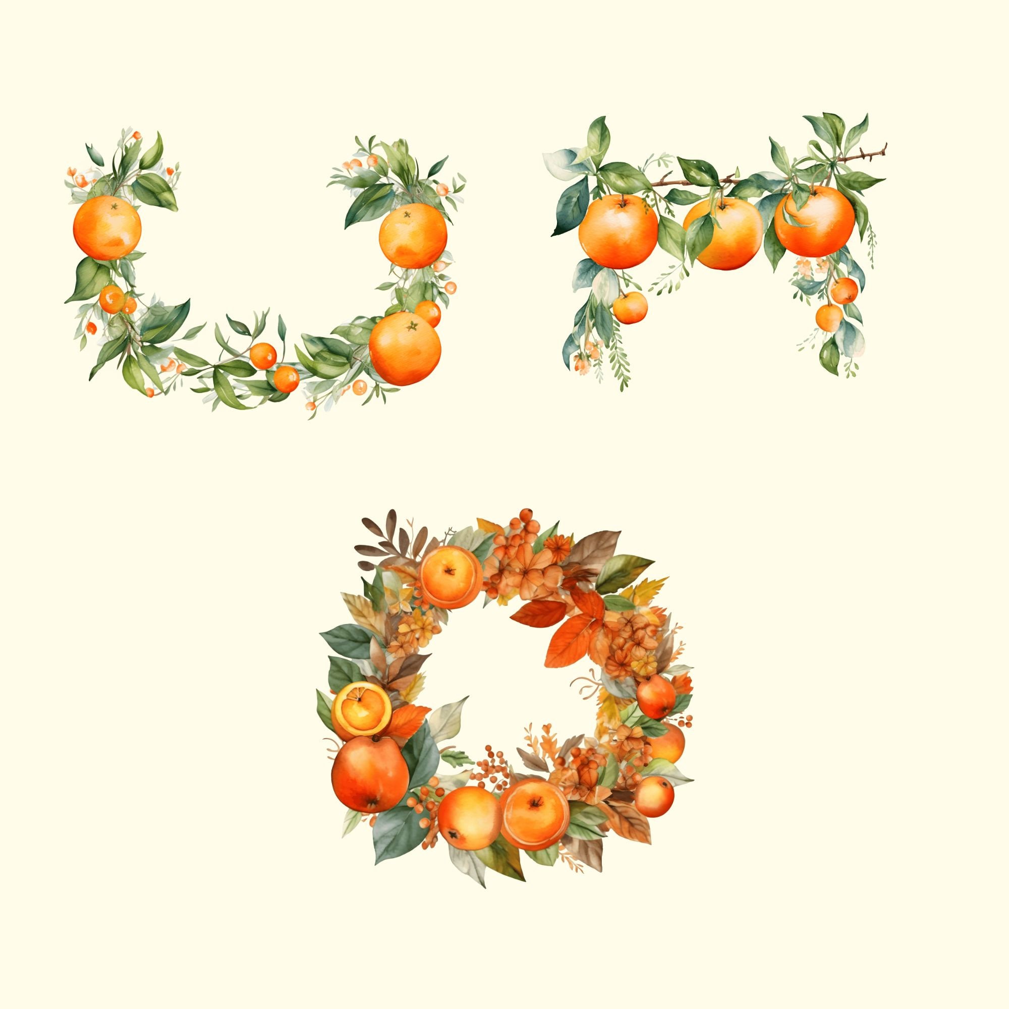 Oranges Watercolor Clipart Bundle 5 PNG Images Transparent - Etsy
