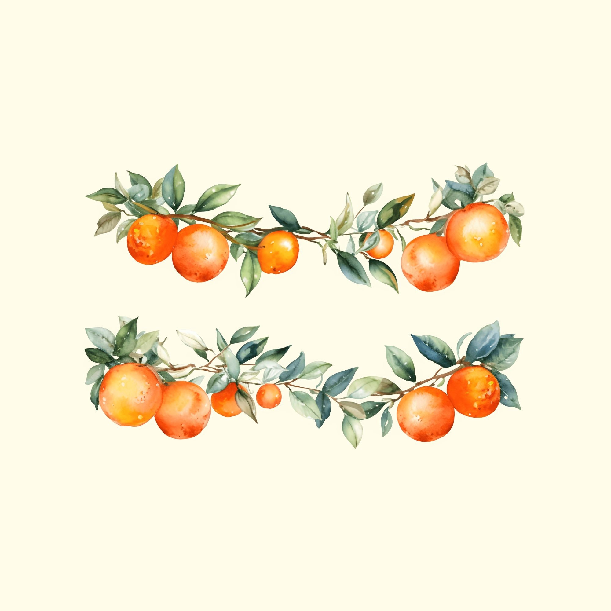 Oranges Watercolor Clipart Bundle 5 PNG Images Transparent - Etsy