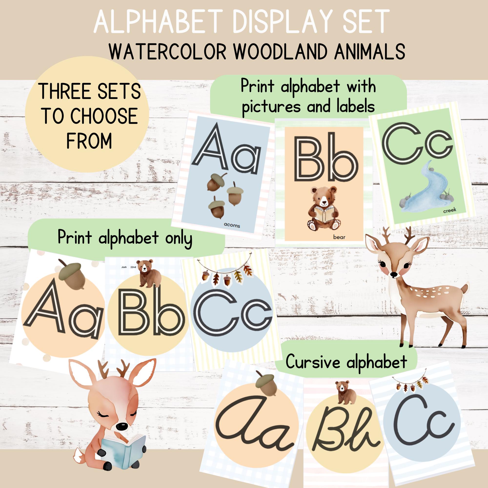 Watercolor Woodland Animals Alphabet Posters: Classroom Display Set ...