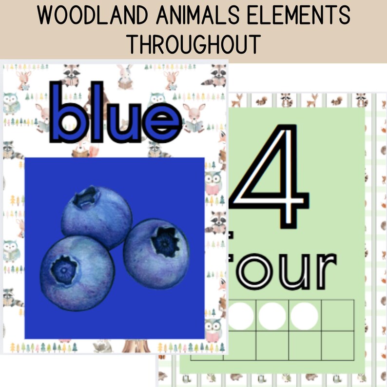 Woodland Animals Classroom Posters: Colors, Shapes, Numbers (PDF ...