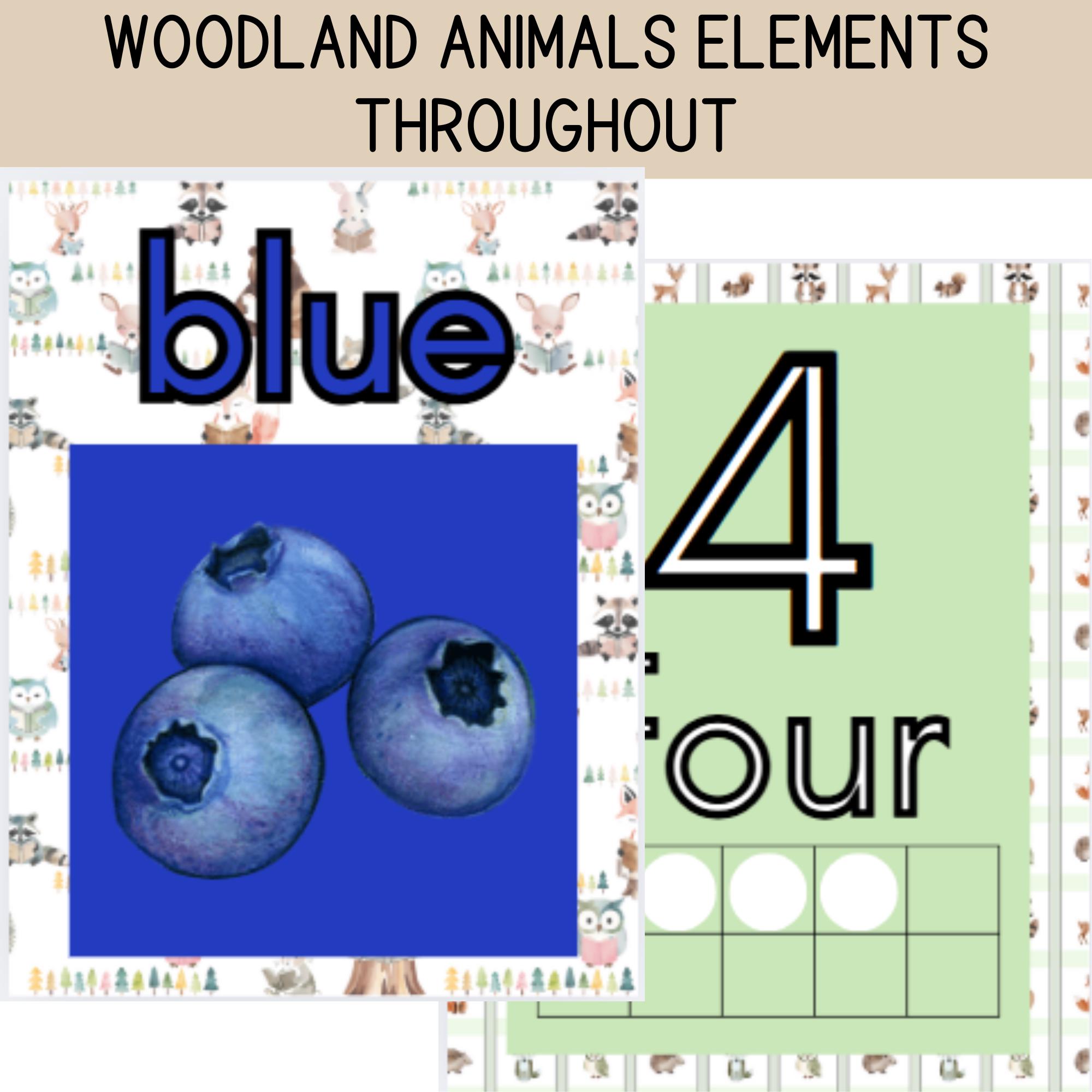 Woodland Animals Classroom Posters: Colors, Shapes, Numbers (PDF ...