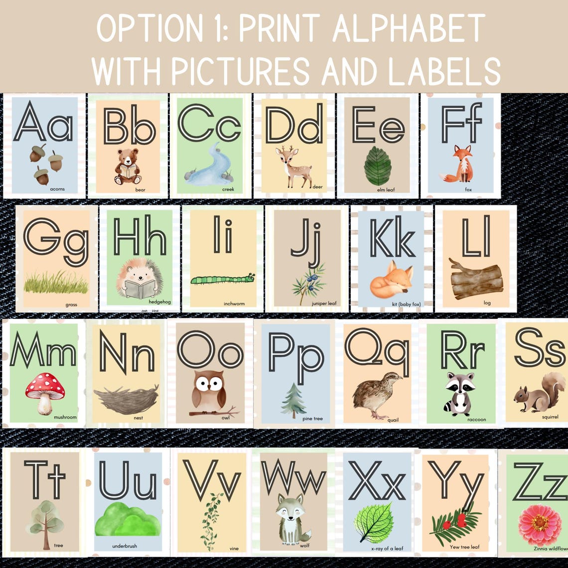 Watercolor Woodland Animals Alphabet Posters: Classroom Display Set ...
