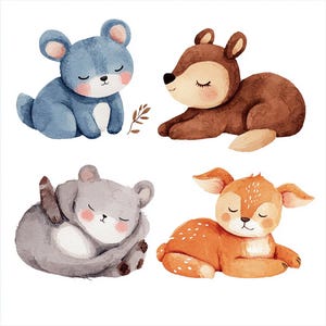 Sleeping Baby Animals Clipart - 12 High Quality Pngs - White Background ...