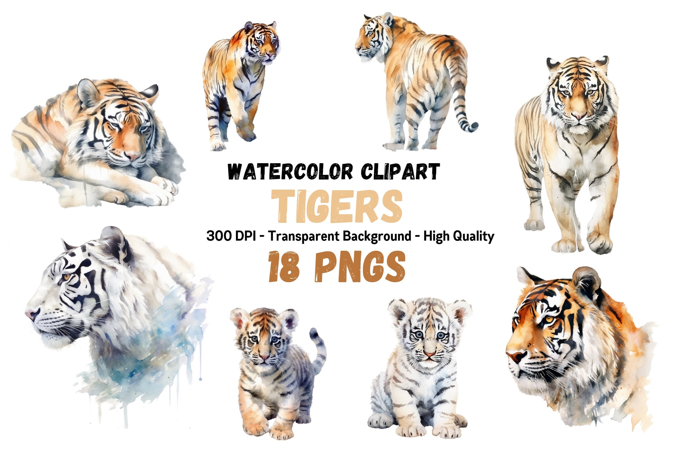 Watercolor Tiger Clipart - 18 High Quality Pngs - Transparent ...