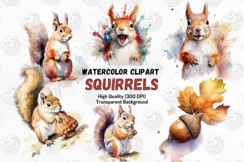 Watercolor Squirrels Clipart - 9 High Quality Pngs - Transparent ...