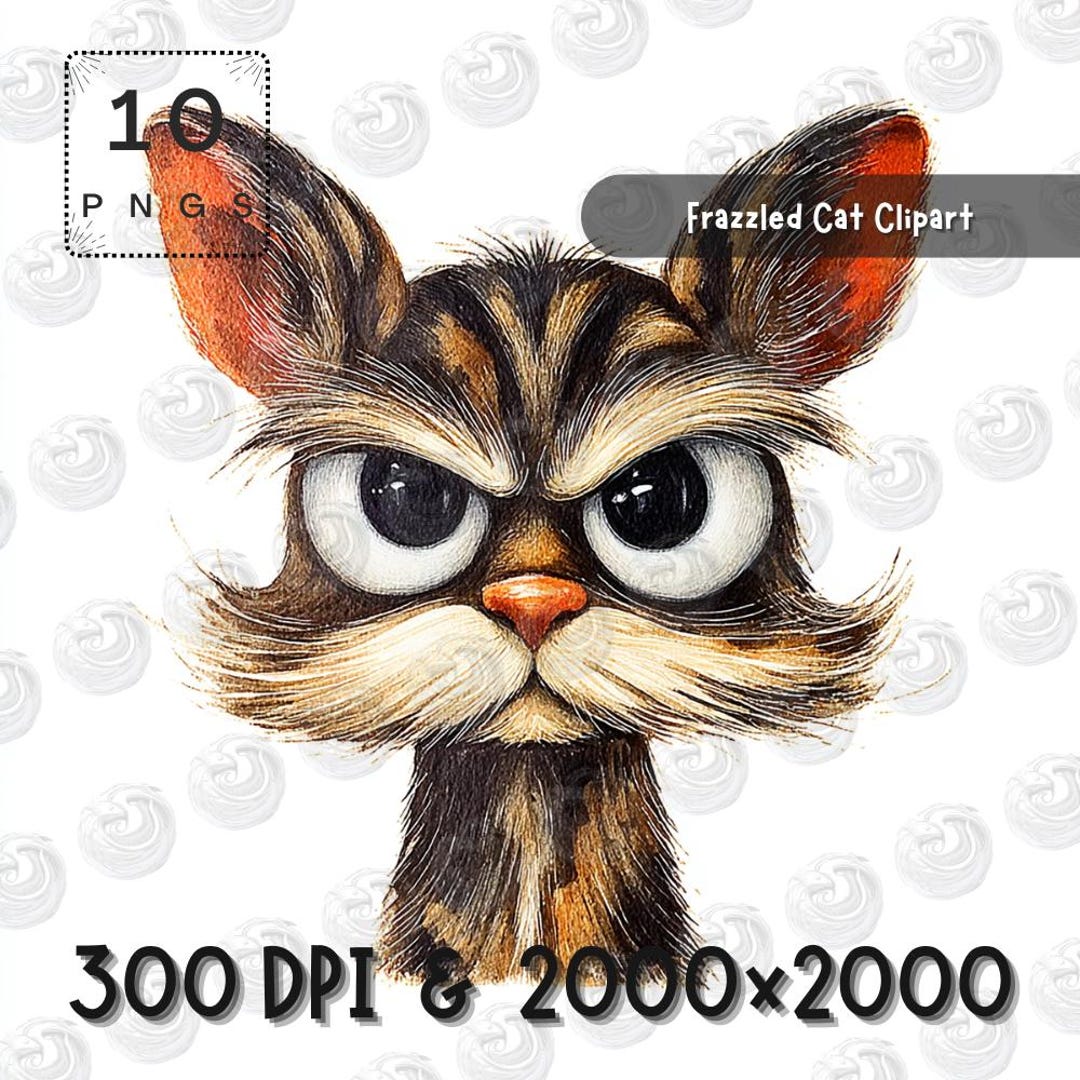 Frazzled Cat Clipart - 10 High Quality Pngs - White Background ...