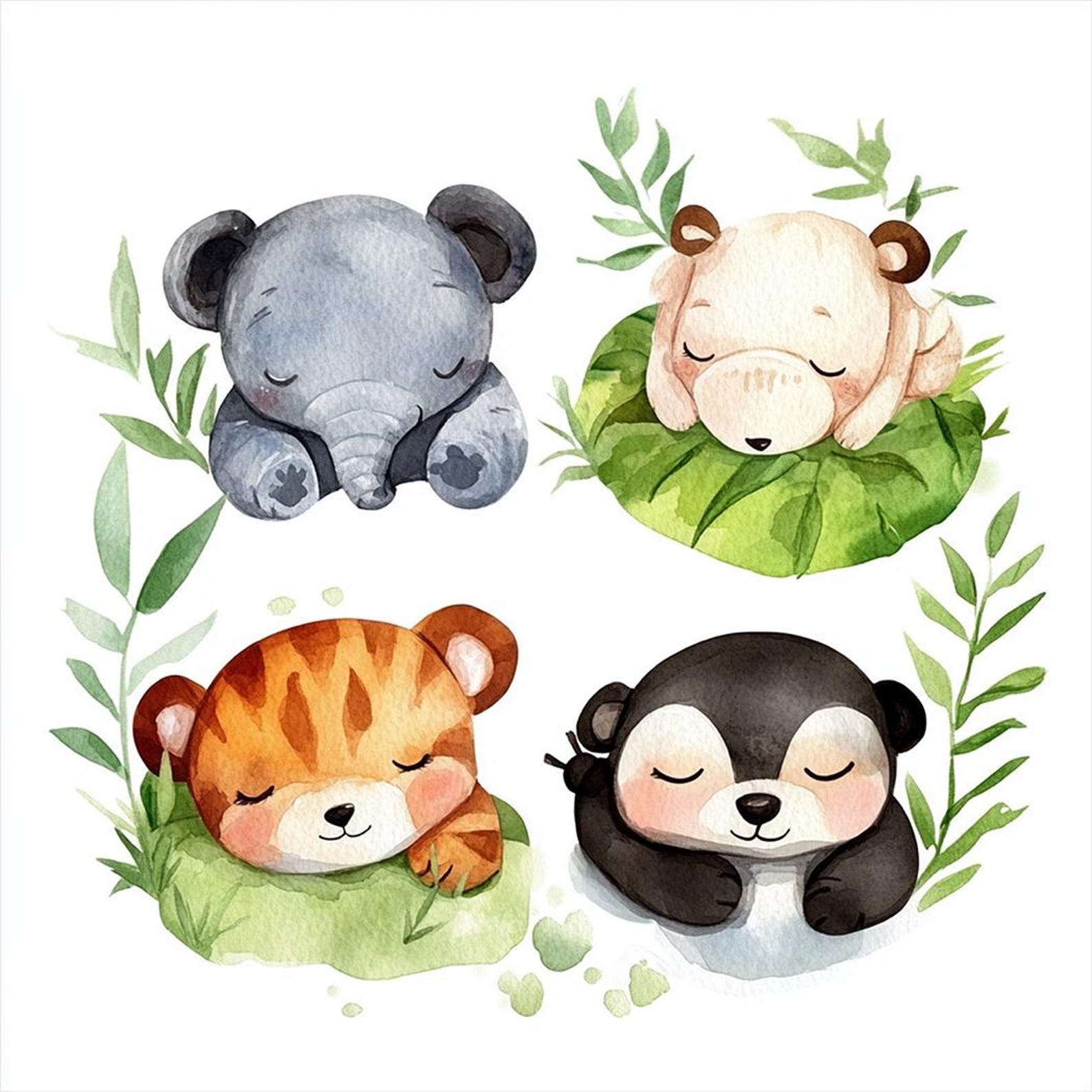 Sleeping Baby Animals Clipart - 12 High Quality Pngs - White Background ...