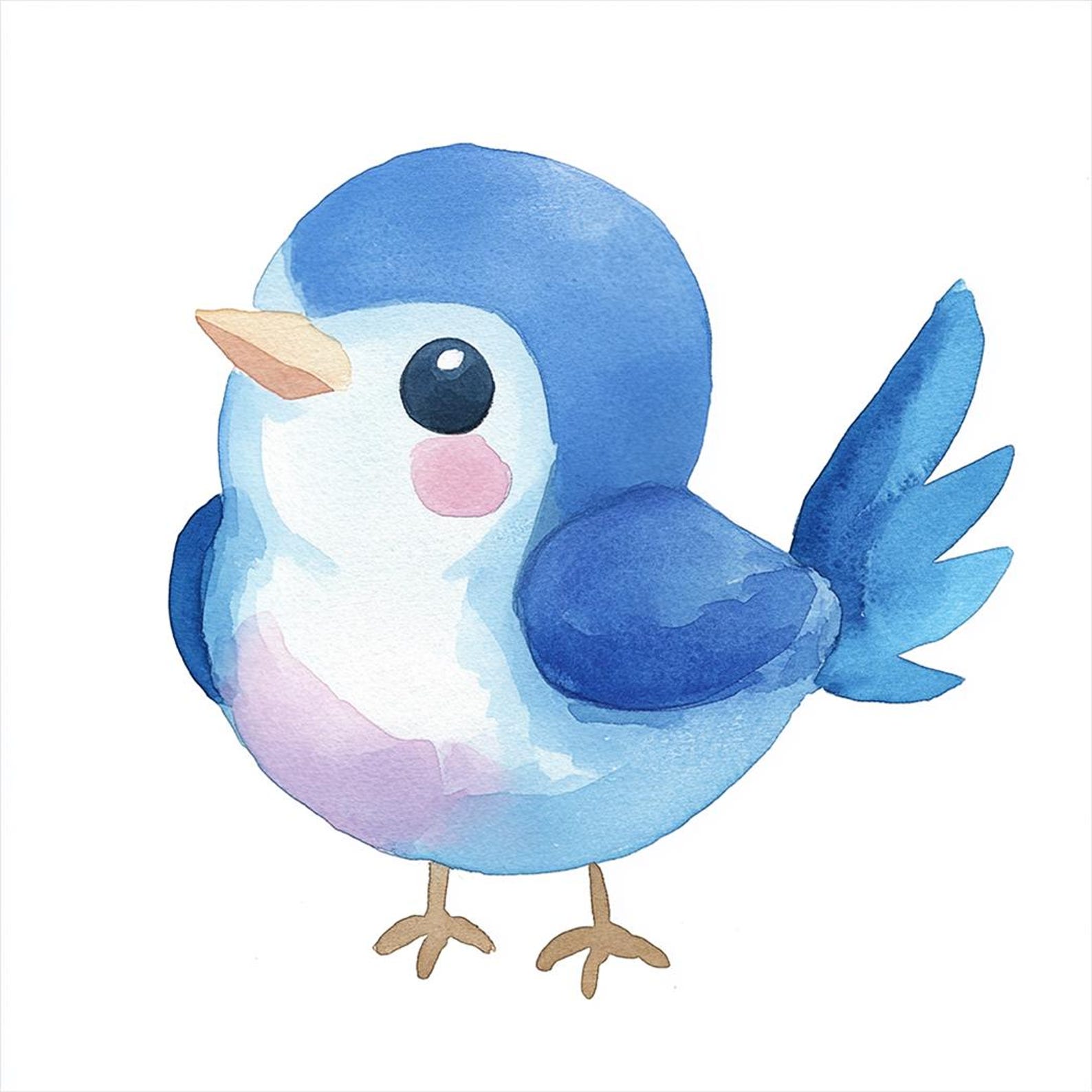 Quirky Bluebird Clipart - 12 High Quality Pngs - White Background ...