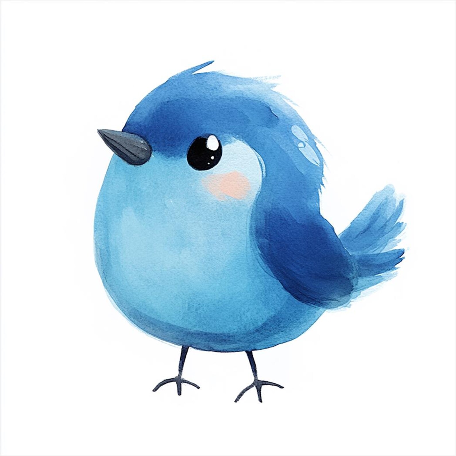 Quirky Bluebird Clipart - 12 High Quality Pngs - White Background ...