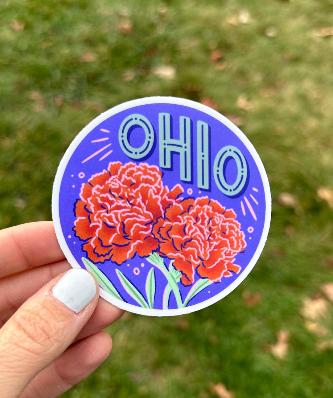 Ohio Carnation Sticker: Hand-lettered State Flower - Etsy