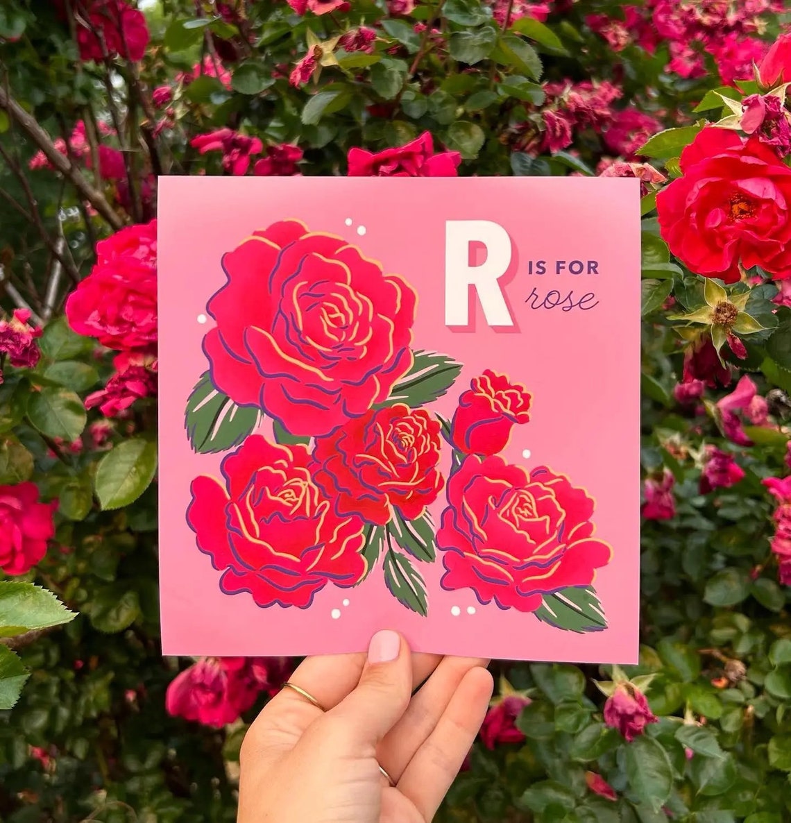 Flower Alphabet Book | Illustrated Hardcover, Baby Shower Gift - Etsy