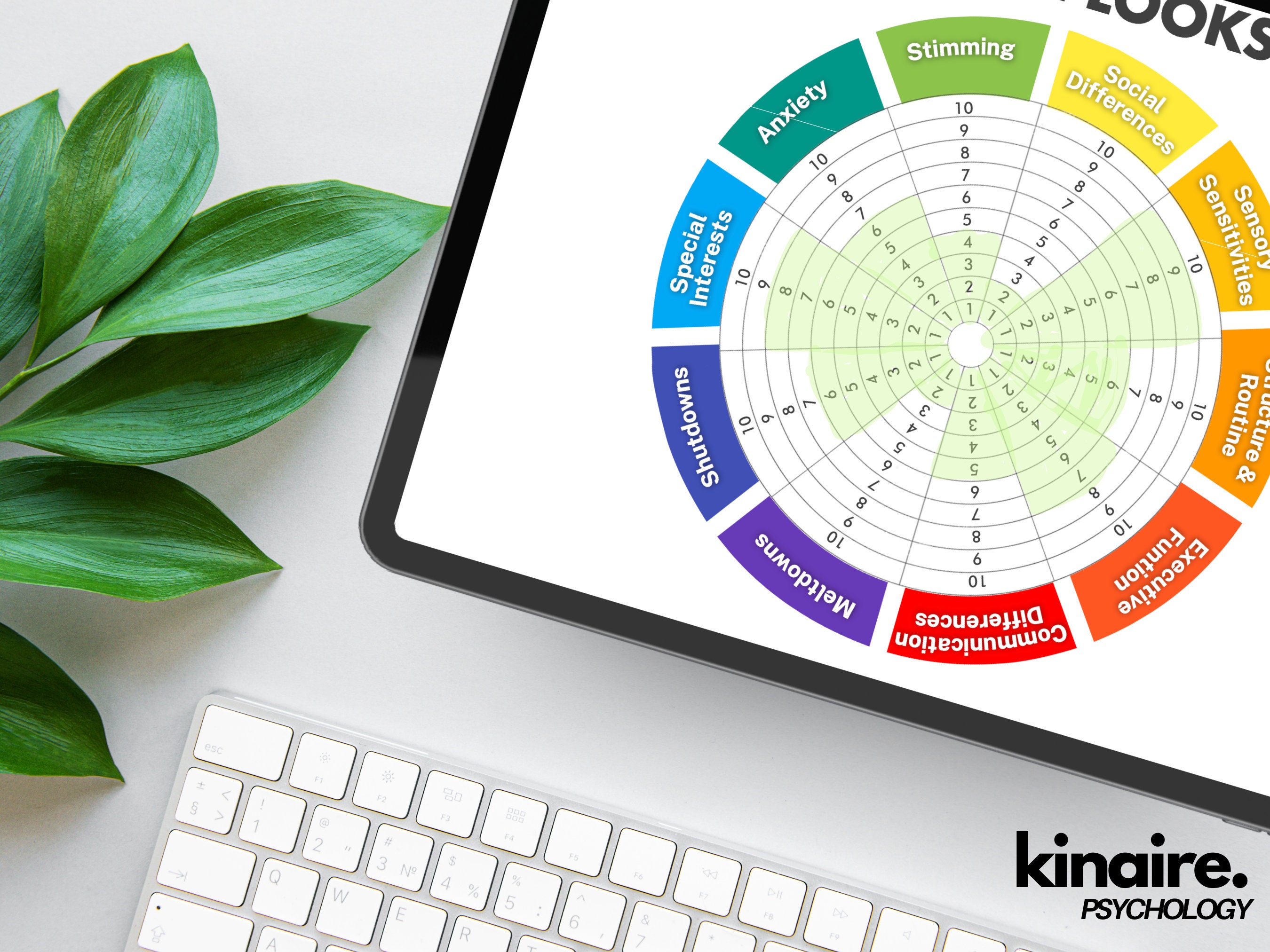 Autism Looks Like: Psycho-education Identity Worksheet | Digital Print ...