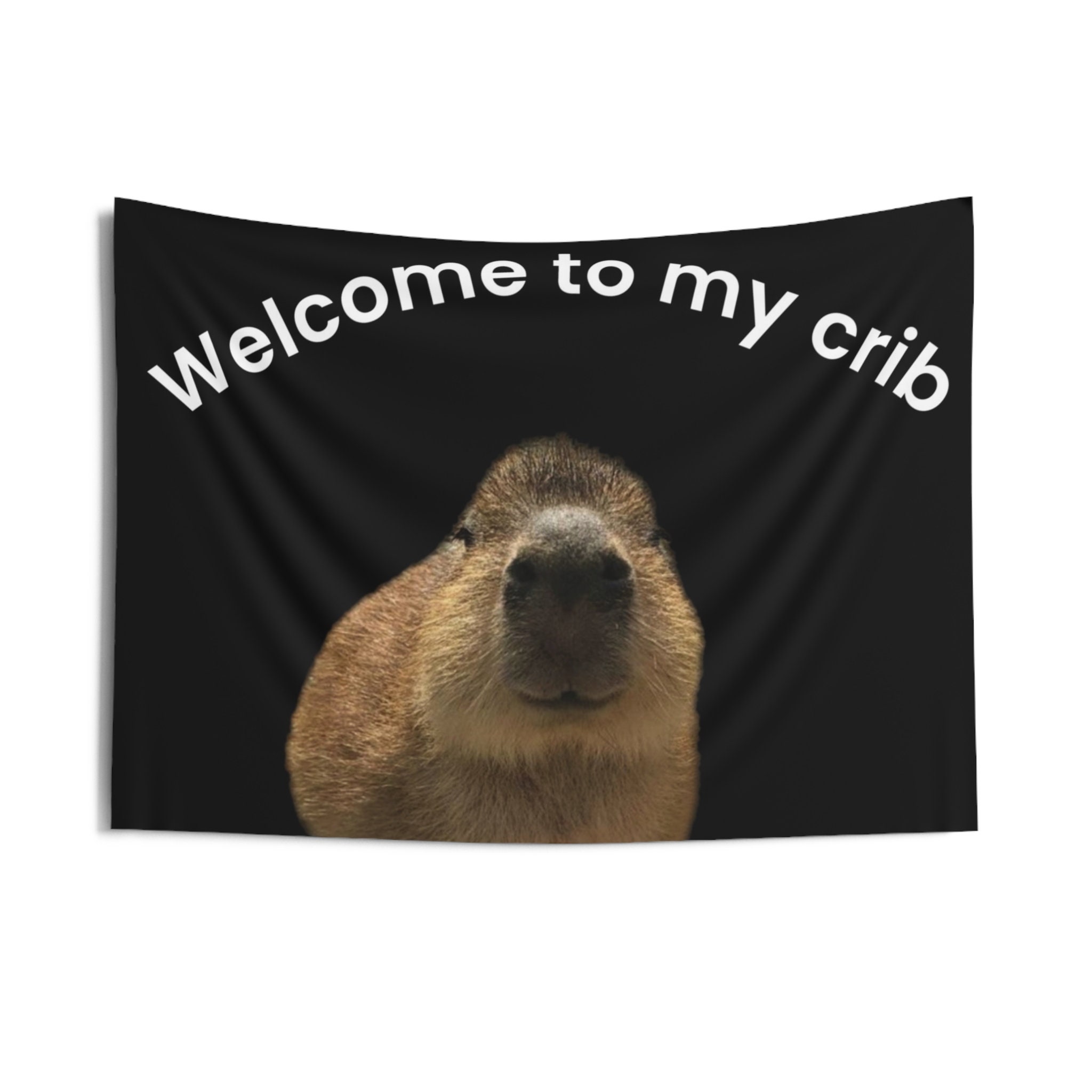 Capybara Welcome to My Crib Wall Tapestry - Etsy