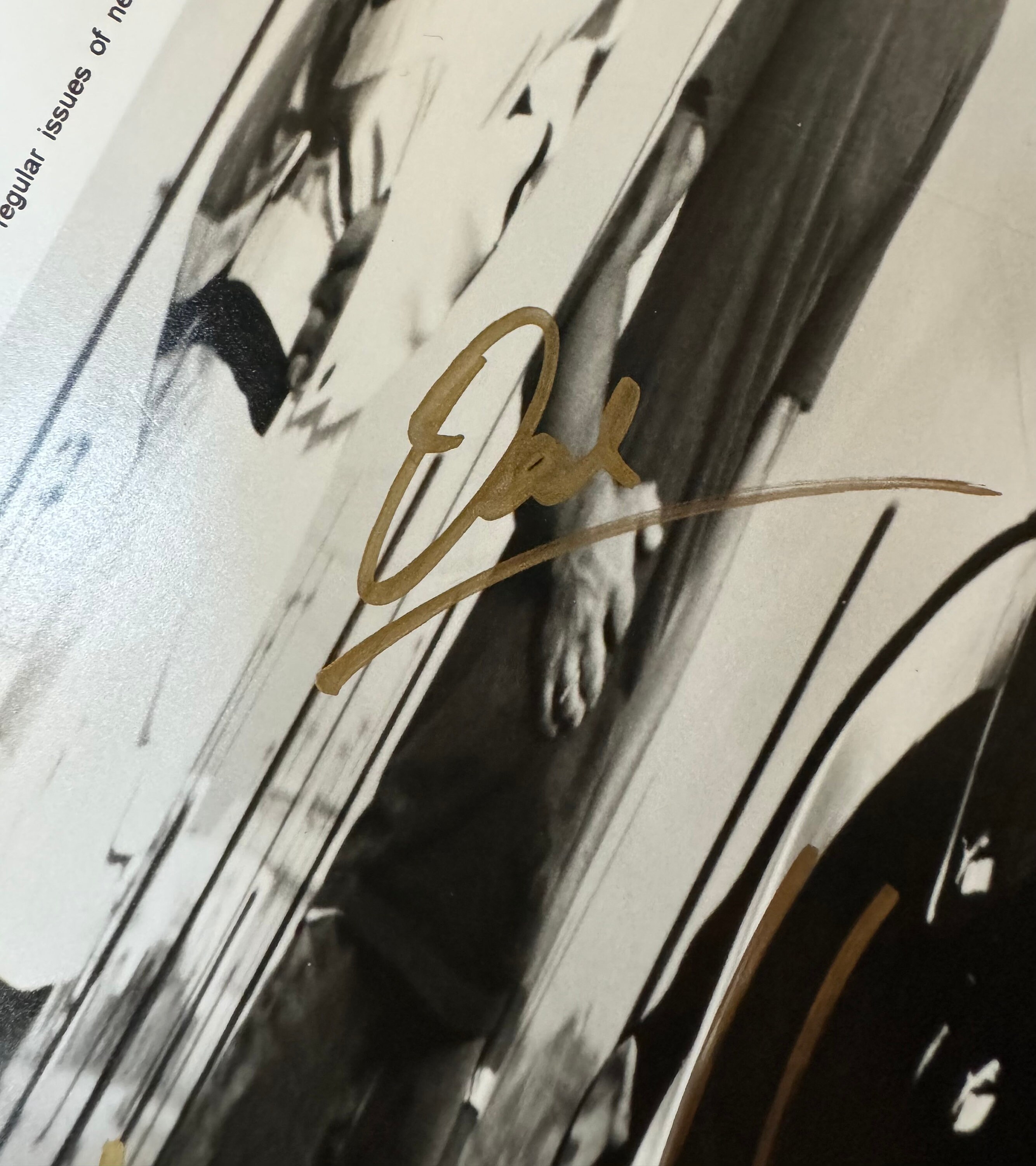 KORN Autographed 8x10 Photo - Etsy