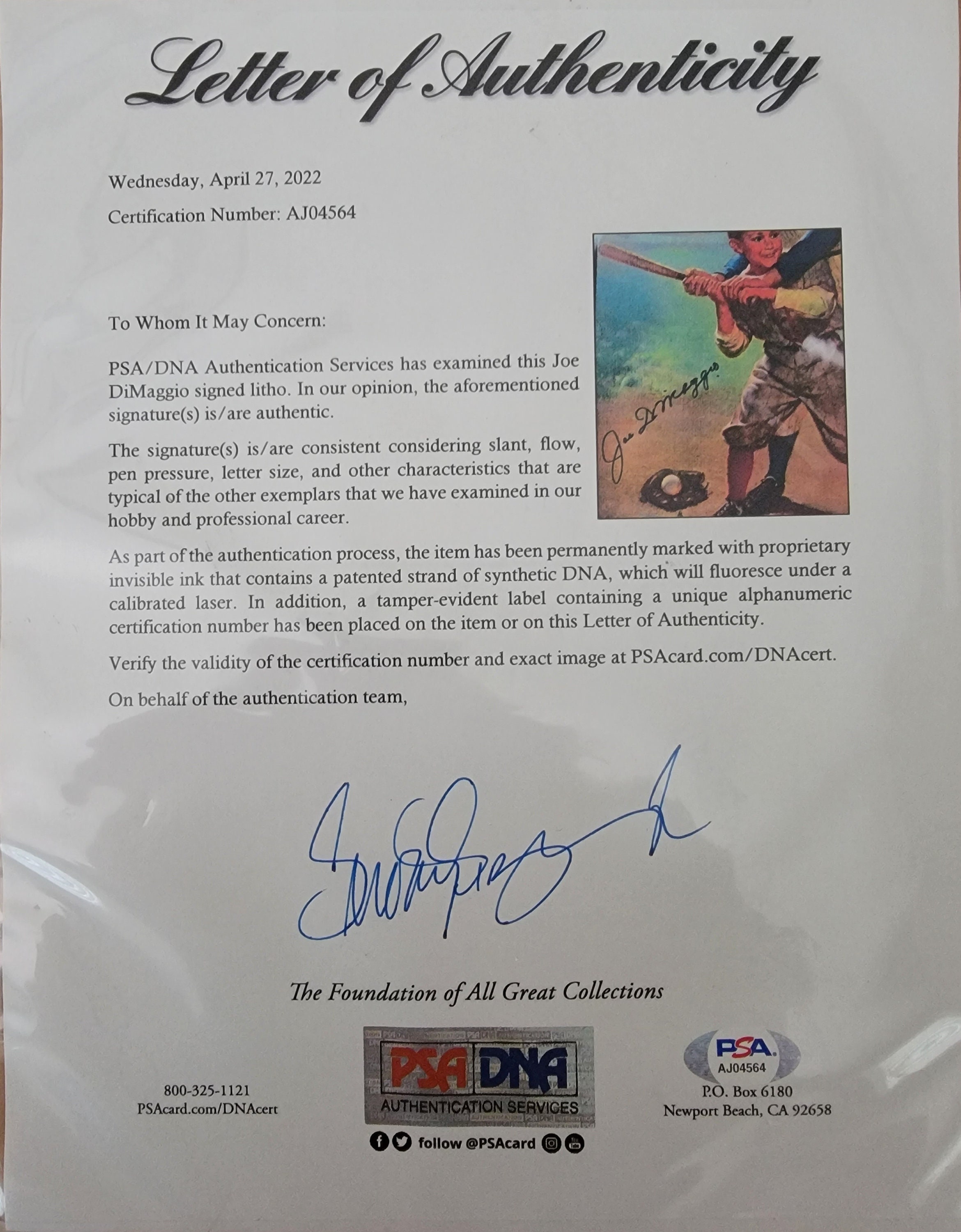 Joe Dimaggio Autographed Limited Edition "star of Tomorrow" Framed ...