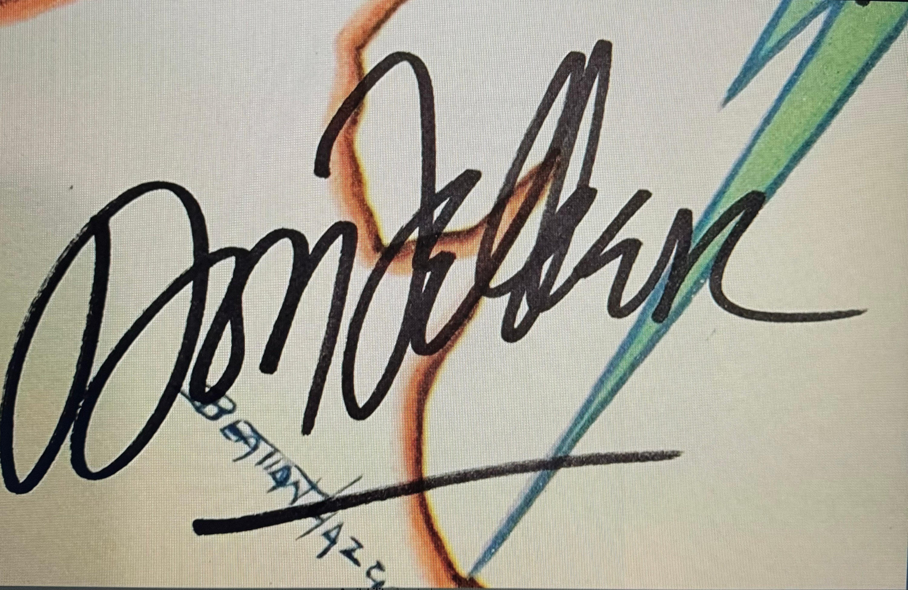 The Eagles Original Autographed on the Border LP COA - Etsy