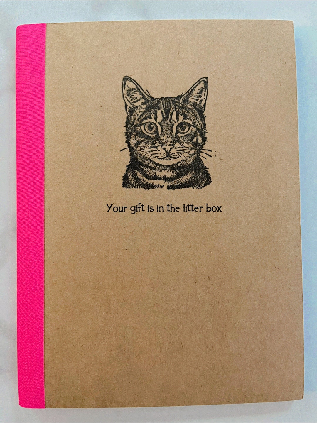 Your Gift is in the Litter Box - Funny Cat Memes - Angry Cat ...