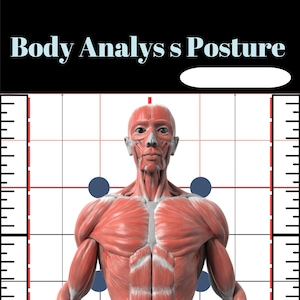 Posture Grid – Wall Mount , Body Analysis Posture , Fitness , Gym ...