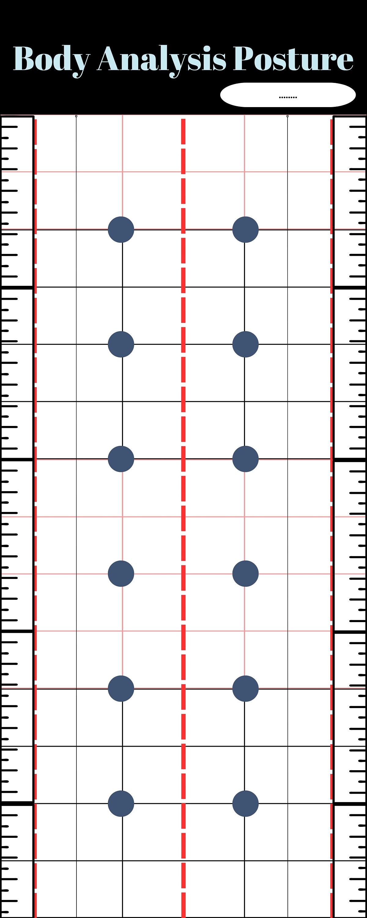 Posture Grid – Wall Mount , Body Analysis Posture , Fitness , Gym ...