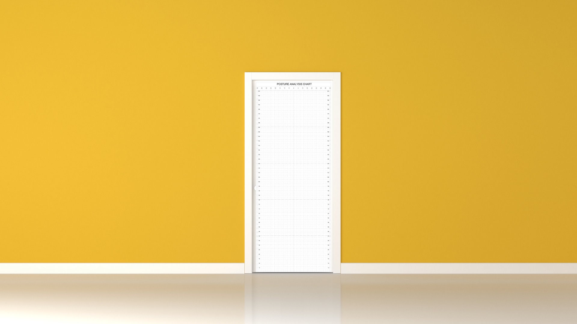 Posture Grid – Wall Mount , Body Analysis Posture , Fitness , Gym ...