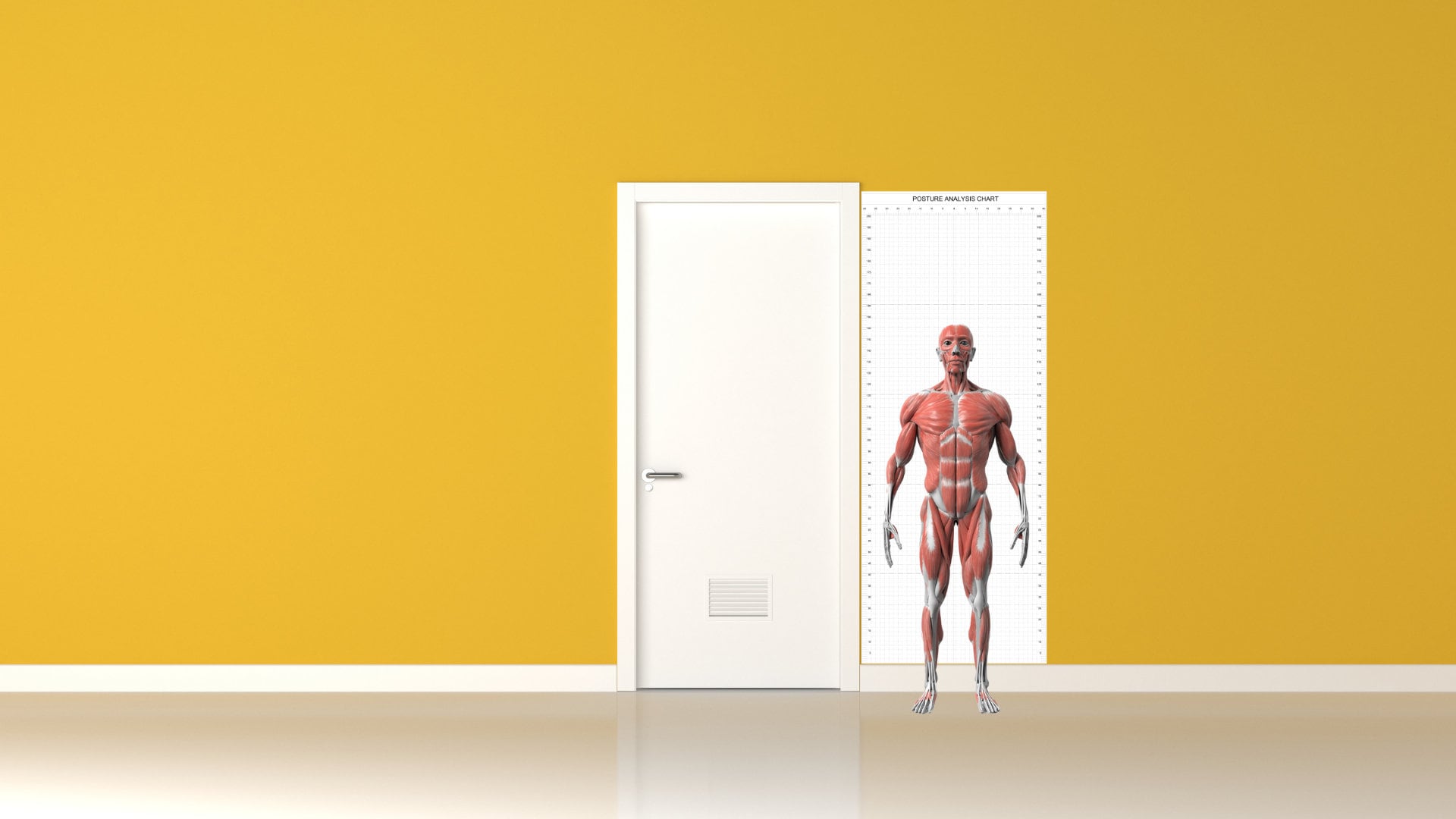 Posture Grid – Wall Mount , Body Analysis Posture , Fitness , Gym ...