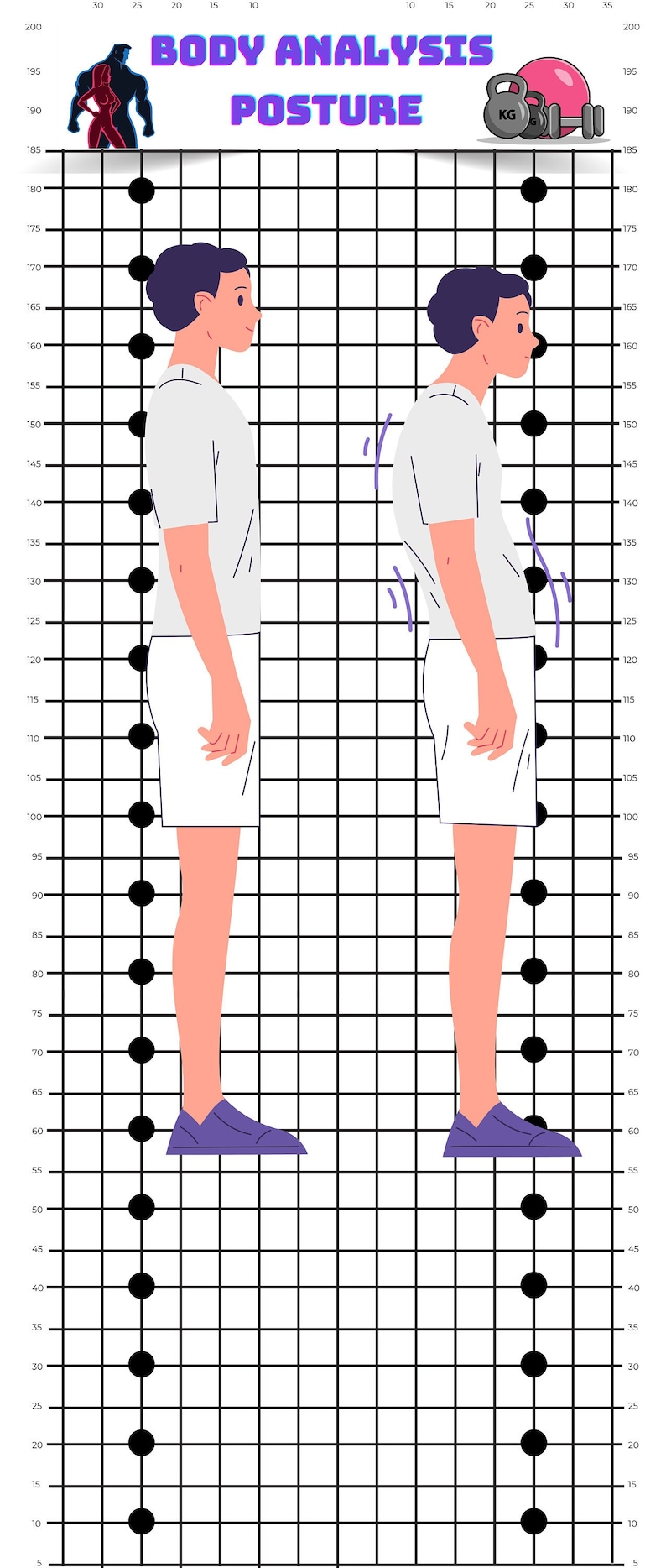 Posture Grid – Wall Mount , Body Analysis Posture , Fitness , Gym ...