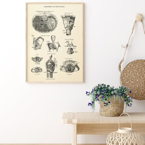 Anatomy of the Voice Wall Art Scientific Illustration Vintage Singing ...