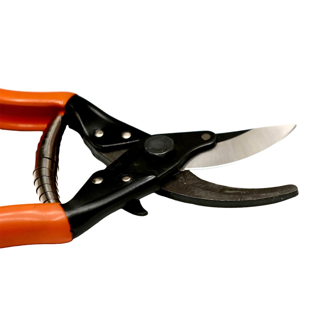 Stainless Steel Flower Cutter Pruning Secateurs, Grafting Tool, Pruning ...