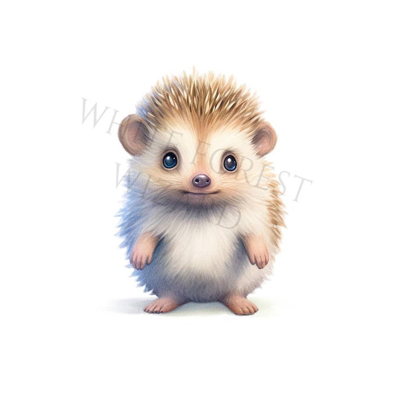20 Cute BABY WILD ANIMALS Clilpart. Png Transparent Background ...
