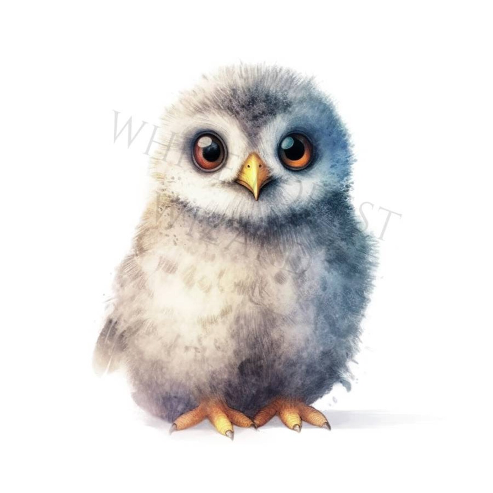 20 Cute BABY WILD ANIMALS Clilpart. Png Transparent Background ...