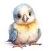 20 Cute BABY WILD ANIMALS Clilpart. Png Transparent Background ...