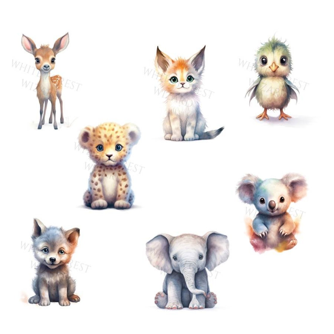 20 Cute BABY WILD ANIMALS Clilpart. Png Transparent Background ...