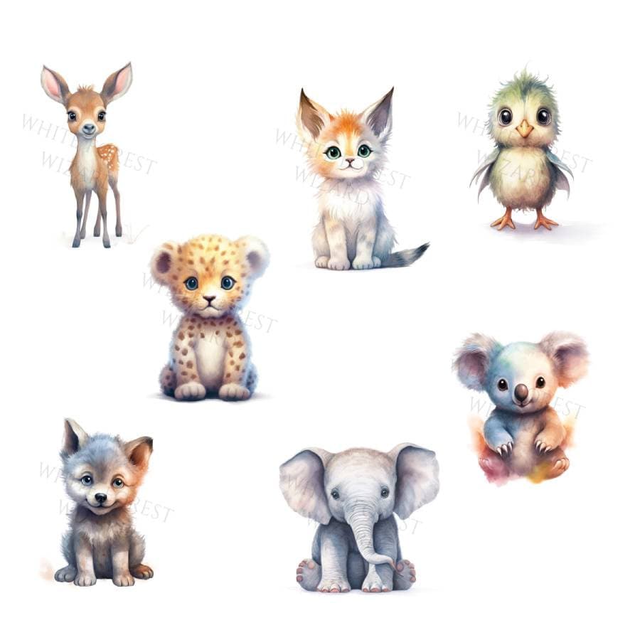 20 Cute BABY WILD ANIMALS Clilpart. Png Transparent Background ...