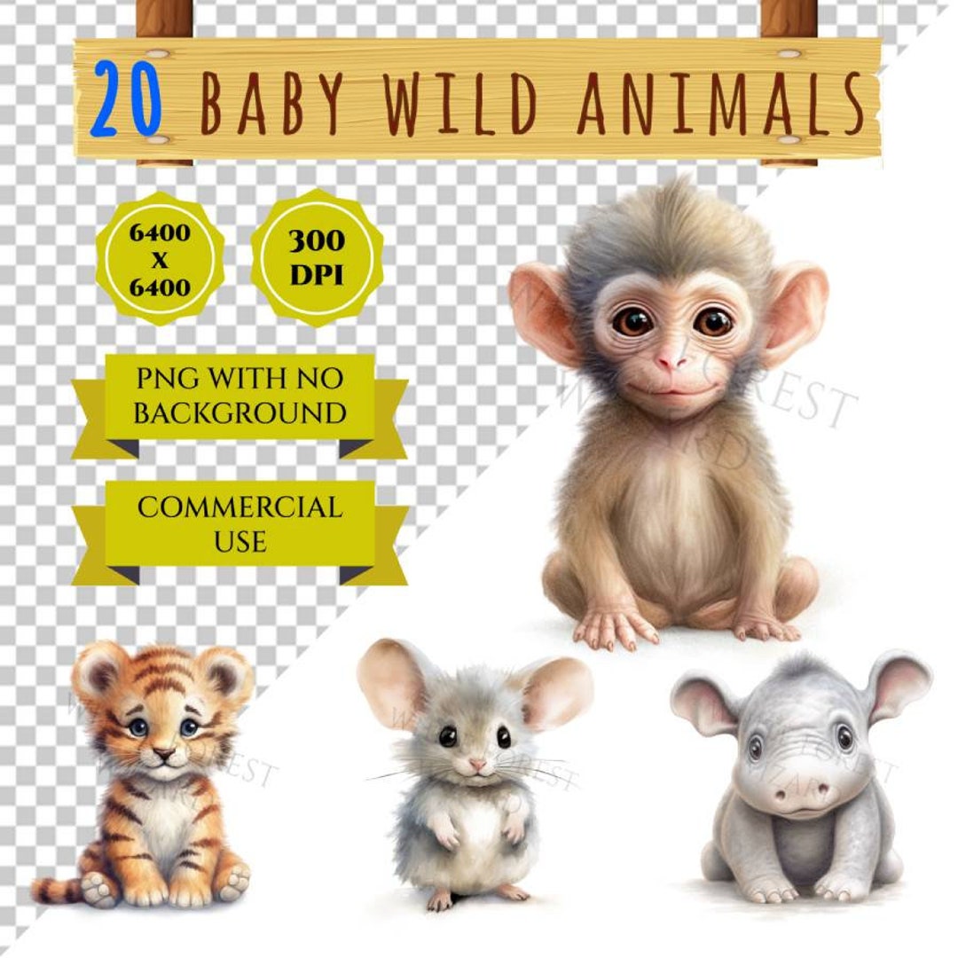 20 Cute BABY WILD ANIMALS Clilpart. Png Transparent Background ...