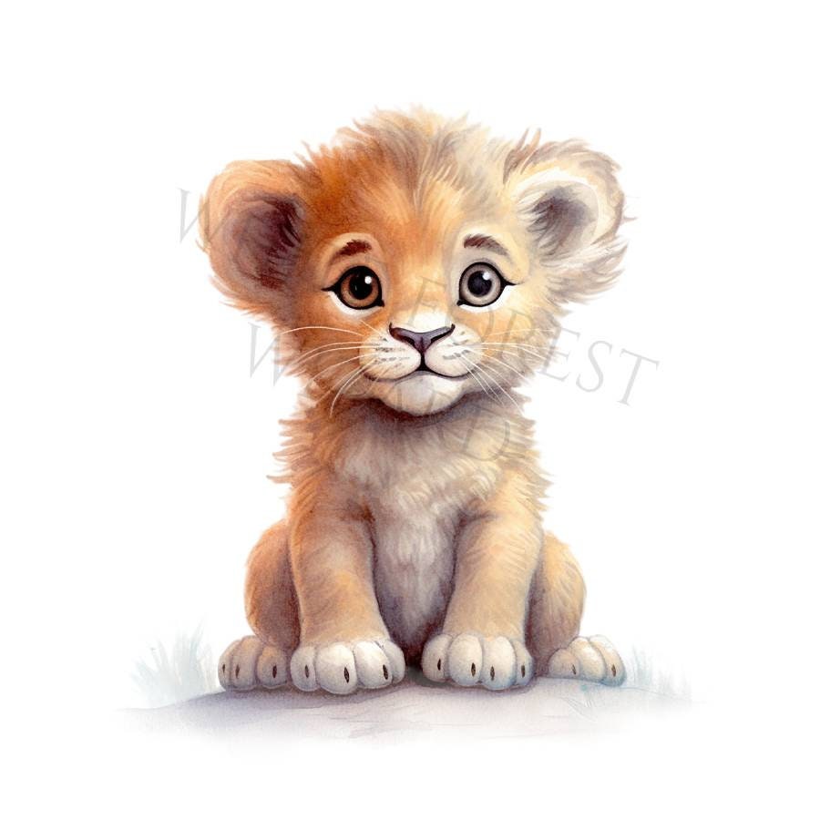 20 Cute BABY WILD ANIMALS Clilpart. Png Transparent Background ...